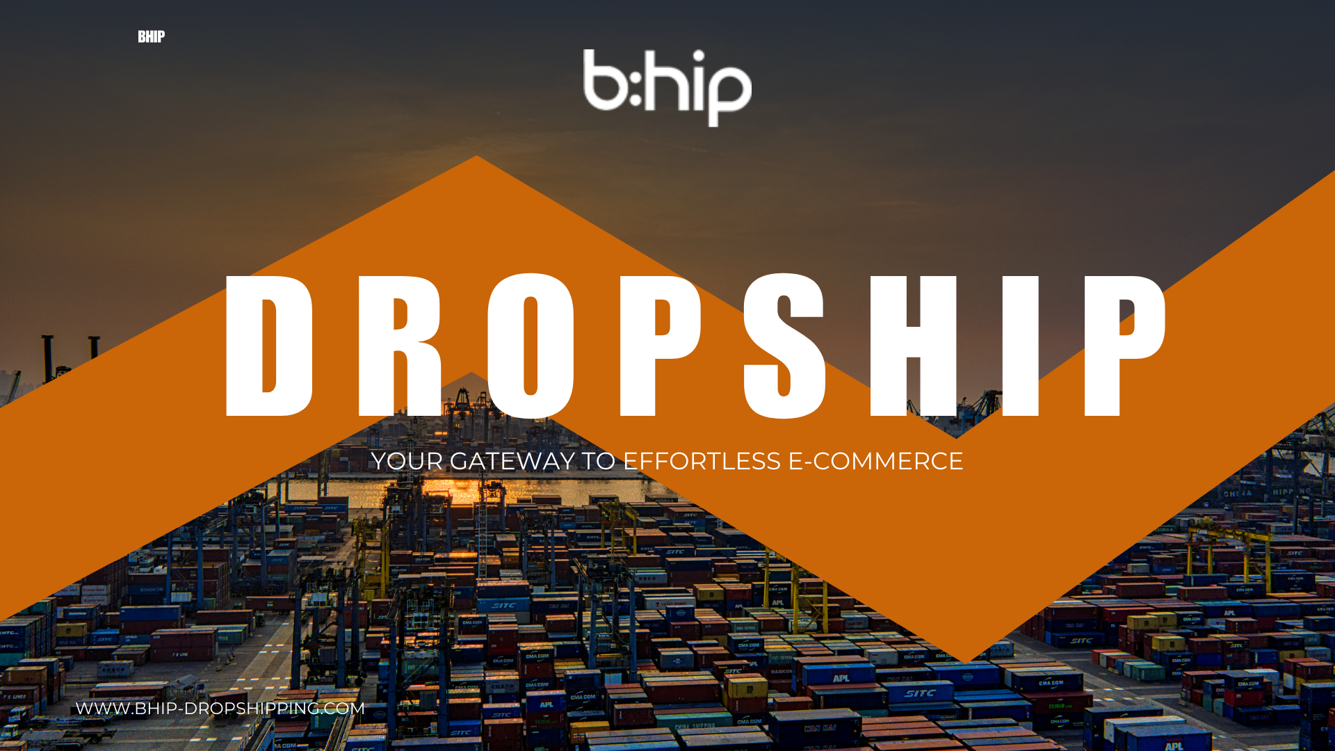 bHIP Global Dropshipping Products